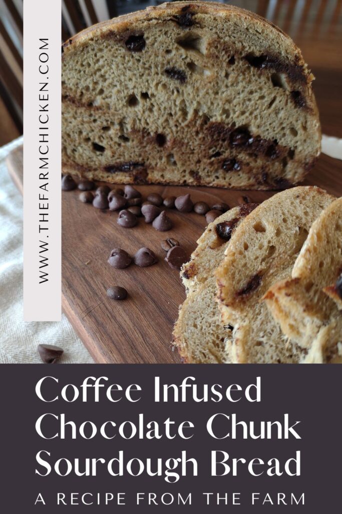 Coffee Infused Chocolate Chunk Sourdough Bread Recipe - TheFarmChicken